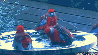 Splashing GIF - Find on GIFER