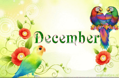 GIF december - animated GIF on GIFER
