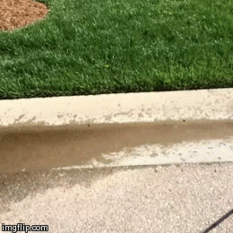 GIF happiness puddle - animated GIF on GIFER