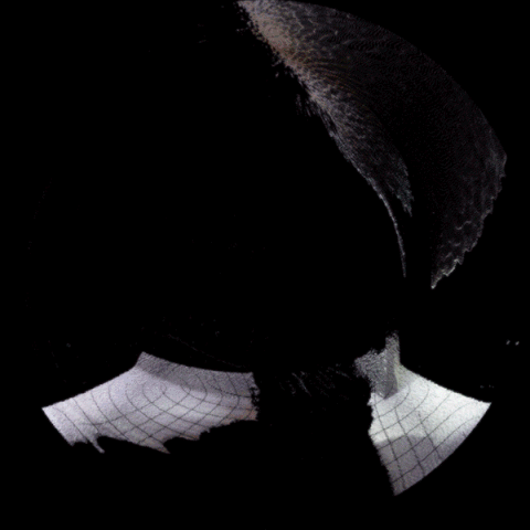 Point cloud GIF - Find on GIFER