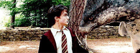 GIF harry potter and the prisoner of azkaban - animated GIF on GIFER
