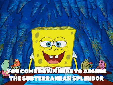 Pineapple fever spongebob squarepants season 6 GIF - Find on GIFER