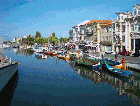 Fora portugal GIF - Find on GIFER