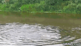 Gif Alegre Y Alegre Motion By LCOOOOD | Dribbble