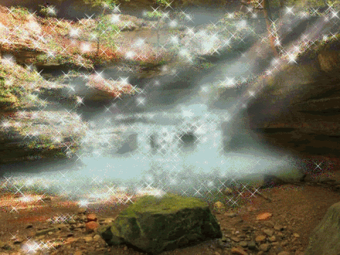 GIF pond - animated GIF on GIFER