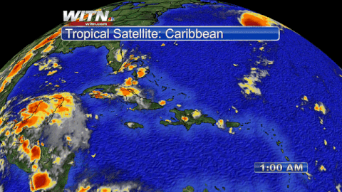 Tropical GIF - Find on GIFER