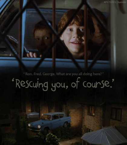 Secrets GIF - Find on GIFER