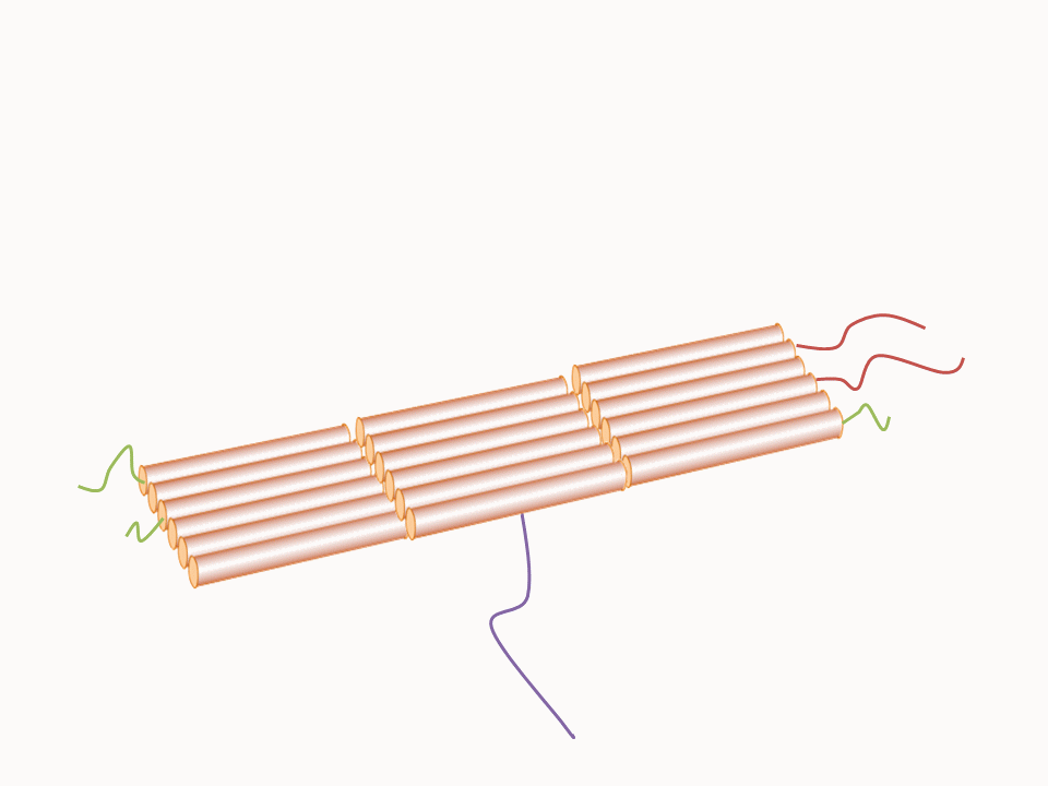 GIF prism - animated GIF on GIFER