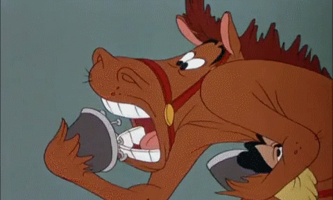 Dingo GIF - Find on GIFER