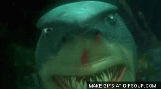 Smelling GIF - Find on GIFER