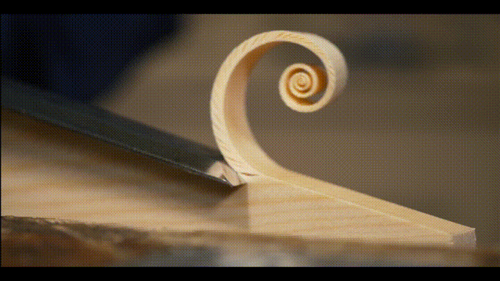 Aggression conflict kämpfen GIF - Auf GIFER finden
