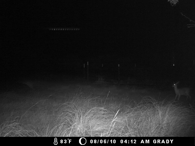 Ufo GIF - Find on GIFER