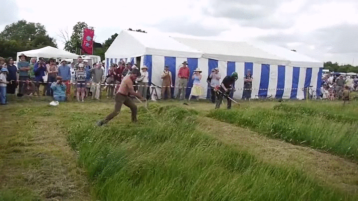 Blog GIF - Find on GIFER