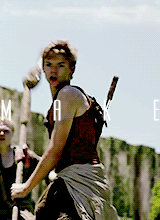 GIF newt - animated GIF on GIFER