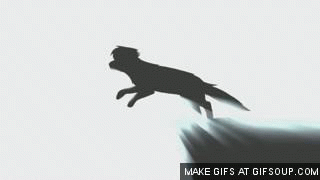 Splash GIF - Find on GIFER
