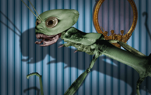 GIF zbags insect weird - animated GIF on GIFER