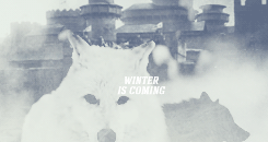 Game of thrones animals talking GIF - Find on GIFER