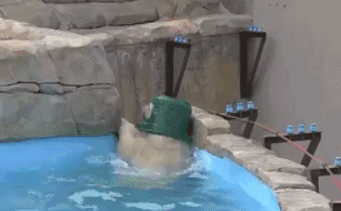 Xo GIF - Find on GIFER