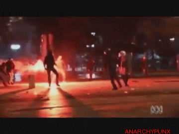 Fight freedom cops GIF - Find on GIFER