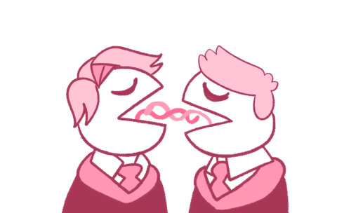 Sh GIF - Find on GIFER