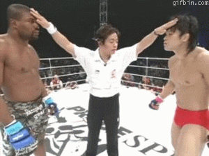 Tsa GIF - Find on GIFER