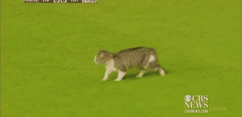 Material GIF - Find on GIFER