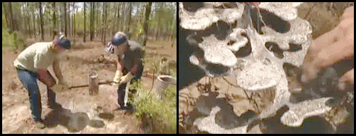 Multiple GIF - Find on GIFER