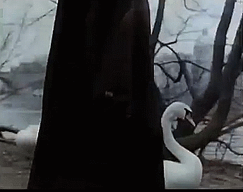 Inxs 80s 80s music GIF - Find on GIFER