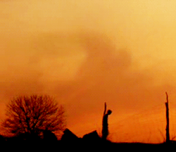 Green GIF - Find on GIFER