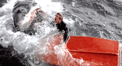 Jaws GIF - Find on GIFER