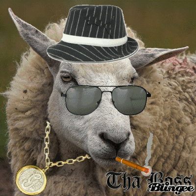 GIF has gone sanity - animated GIF on GIFER