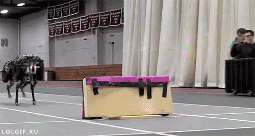 Cheetah Running Gif