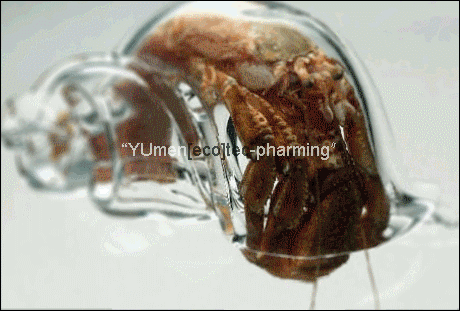 GIF ecology - animated GIF on GIFER