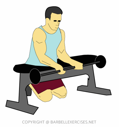 Bench GIF - Find on GIFER