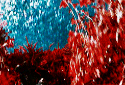 GIF stid - animated GIF on GIFER