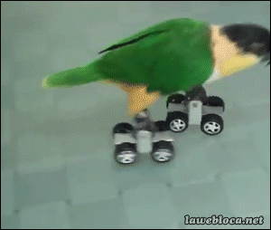 This is fun GIF - Find on GIFER