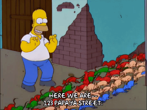 Address homer simpson GIF - Find on GIFER