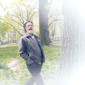 Stephen colbert GIF - Find on GIFER