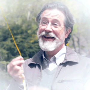 GIF stephen colbert - animated GIF on GIFER