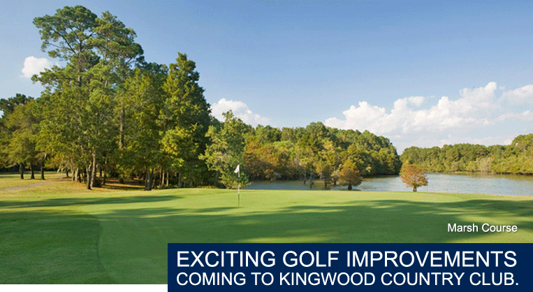 GIF exciting - animated GIF on GIFER