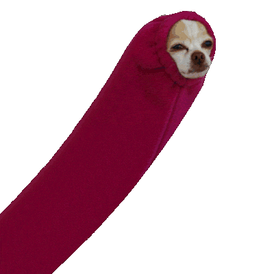 Dong GIF - Find on GIFER