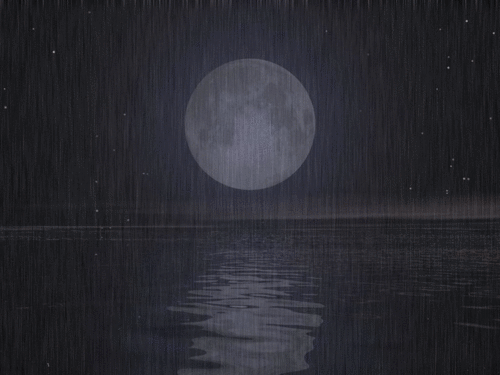 GIF noite rain - animated GIF on GIFER