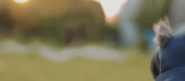 Assassin GIF - Find on GIFER