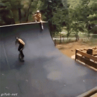 Fail public domain jam dog GIF - Find on GIFER