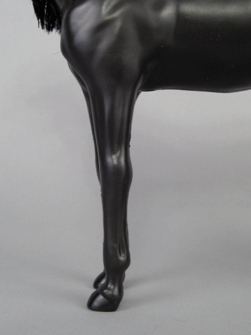 GIF leg - animated GIF on GIFER