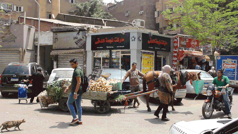GIF el - animated GIF on GIFER