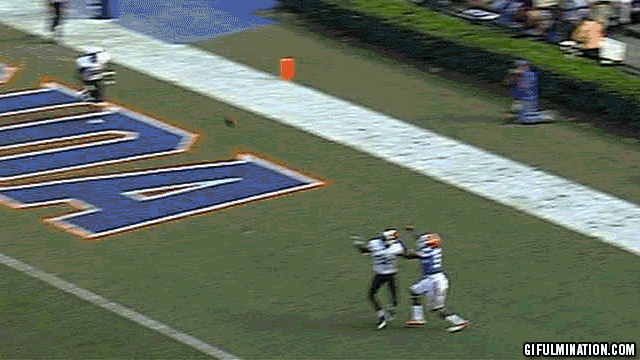 Amazing report GIF - Find on GIFER