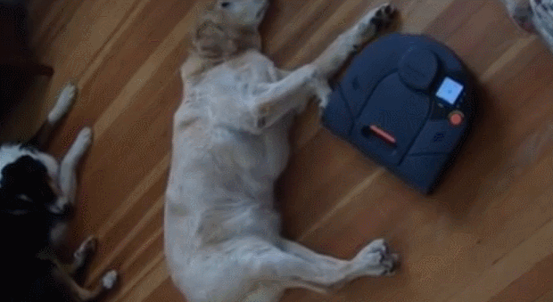 GIF reaction slight - animated GIF on GIFER