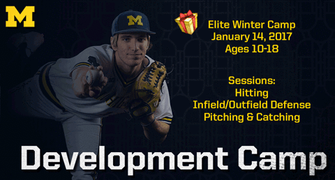 Baseball winter michigan GIF - Find on GIFER