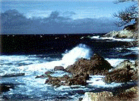 Image stabilization GIF - Find on GIFER